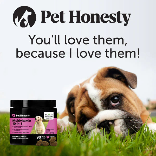 Multivitamin Chew Supplements for Optimal Dog Health | Pet Honesty