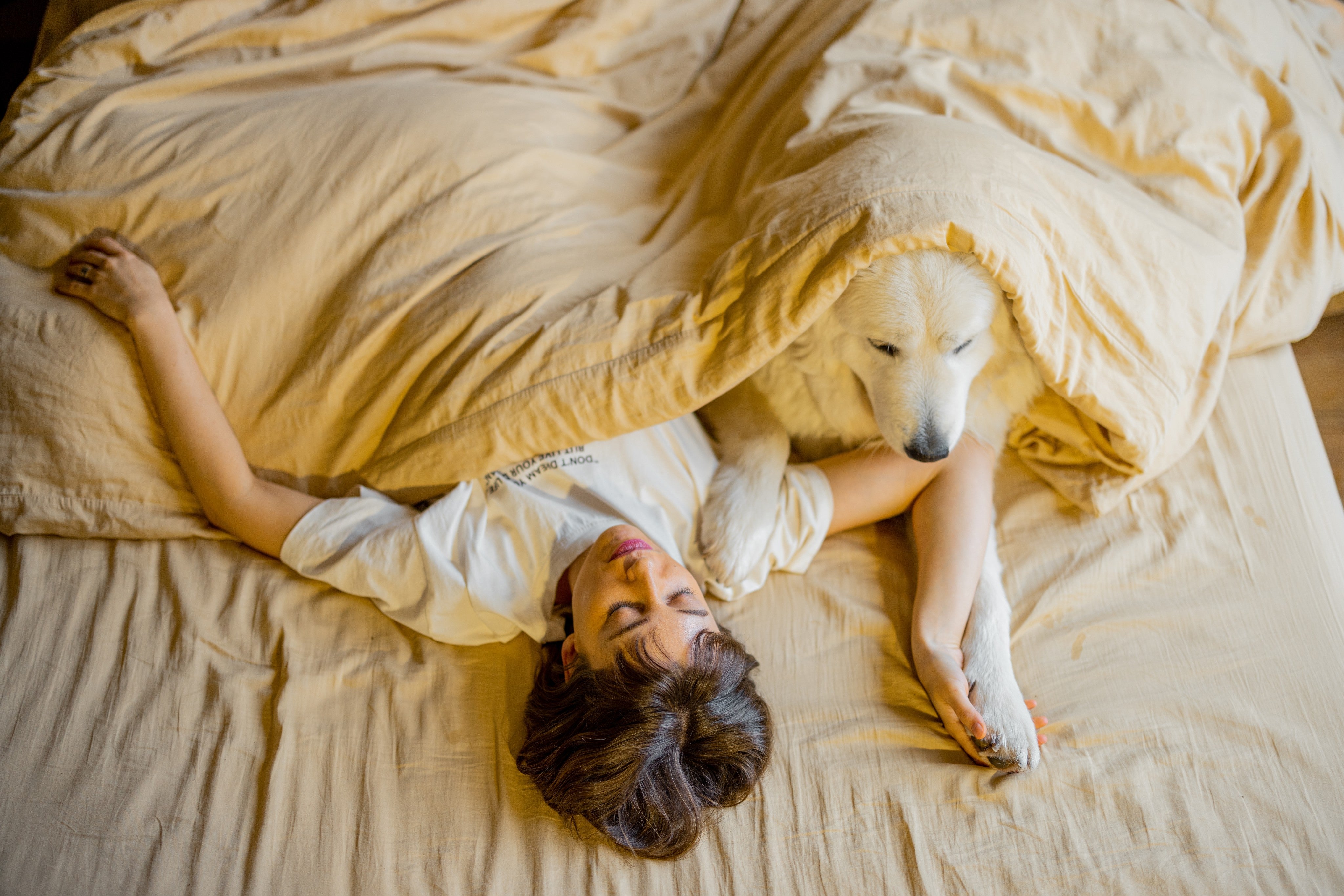 Ultimate Nighttime Routine for Dogs: Omega-3 Fish Oil + Calming Chews ...