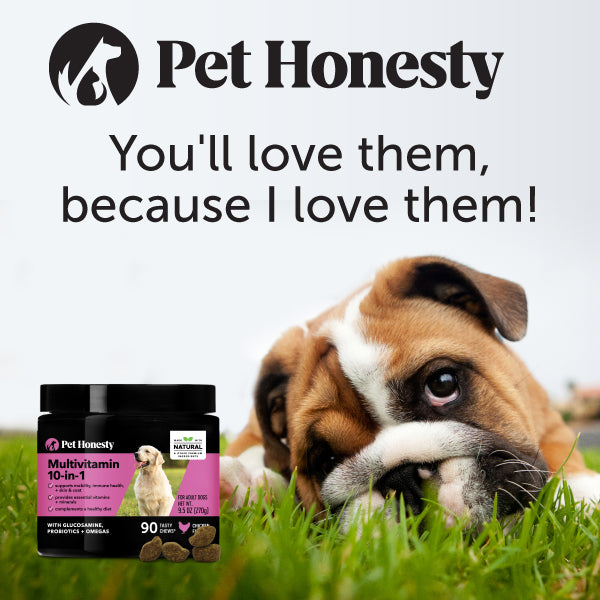 Dog Dental Supplements for Healthy Teeth & Gums | Pet Honesty