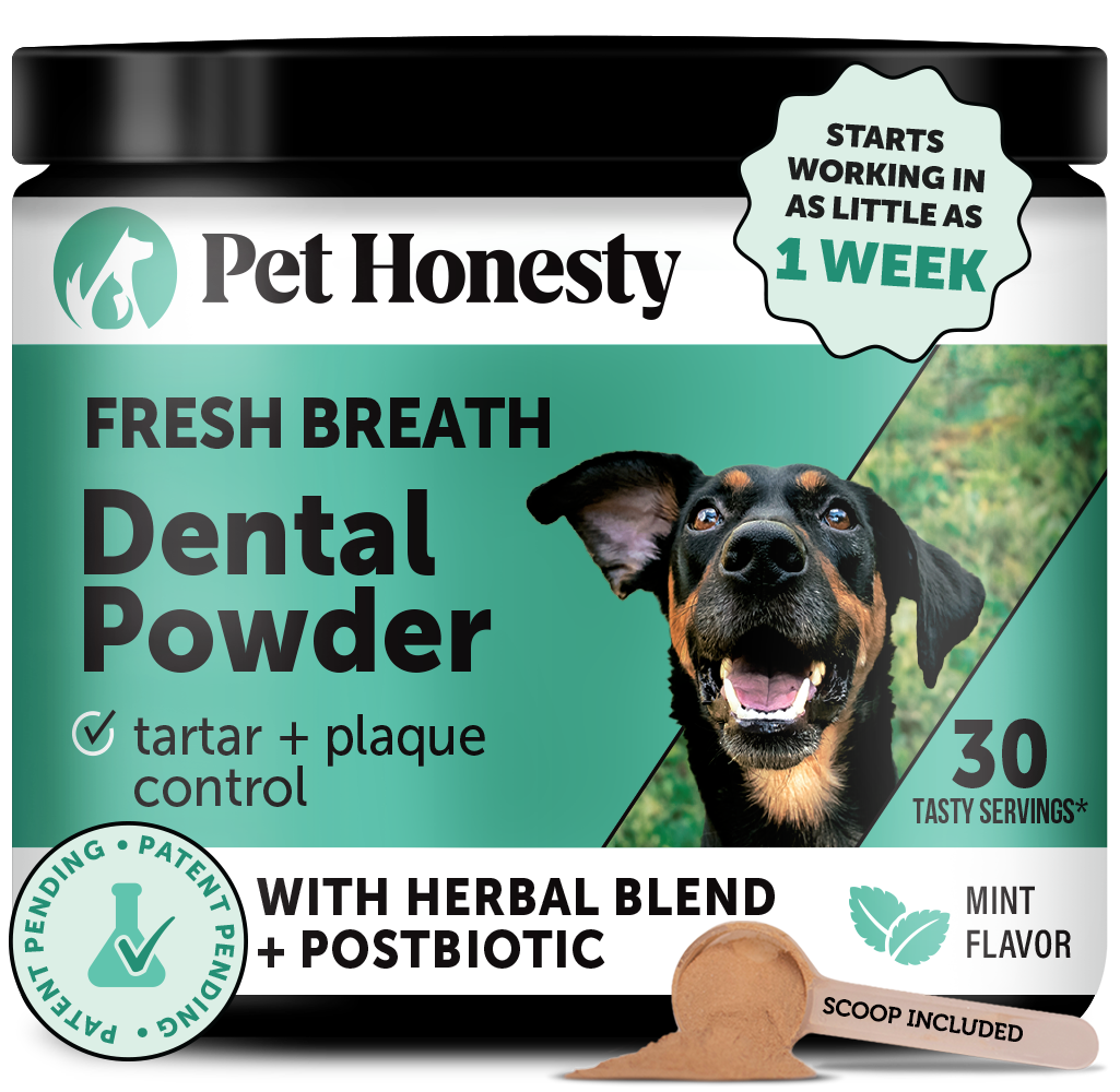 Powerful Dental Powder for Dogs - (30 Servings) | Pet Honesty
