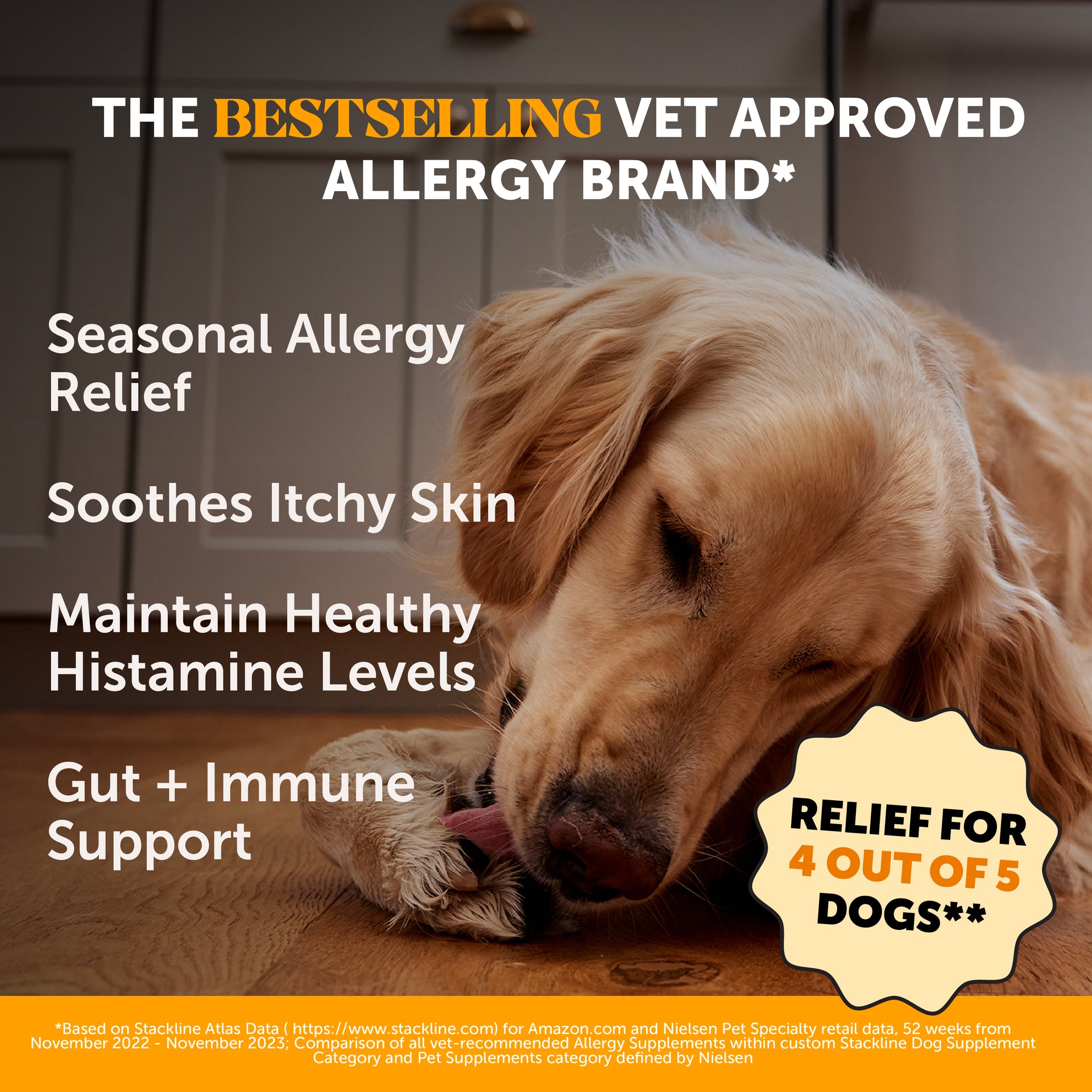 Salmon Flavor Allergy Support Chews for Dogs | Pet Honesty