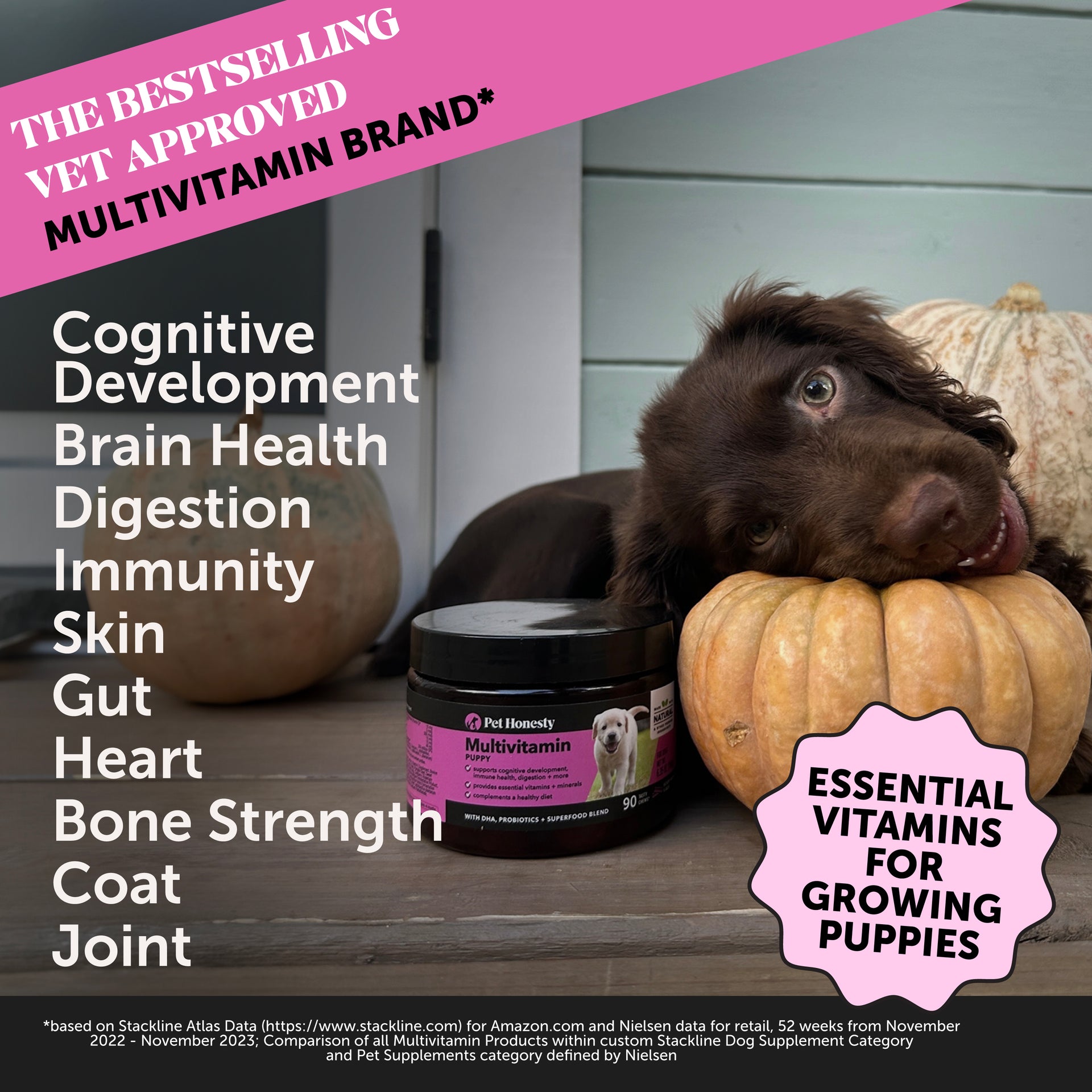 Puppy Multivitamin Chews for Optimal Growth and Health | Pet Honesty