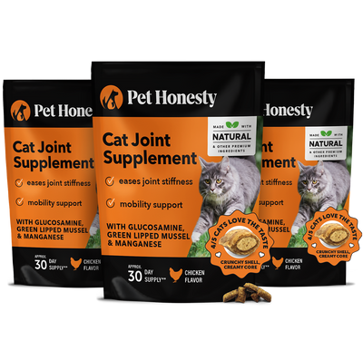 Cat Hip & Joint Health | PetHonesty
