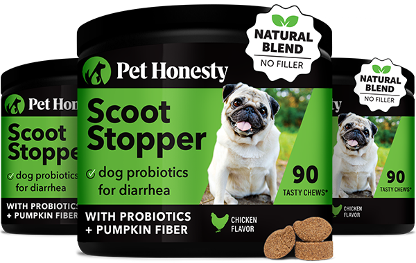 Scoot Stopper Chews for Dogs (3-Pack) | Pet Honesty