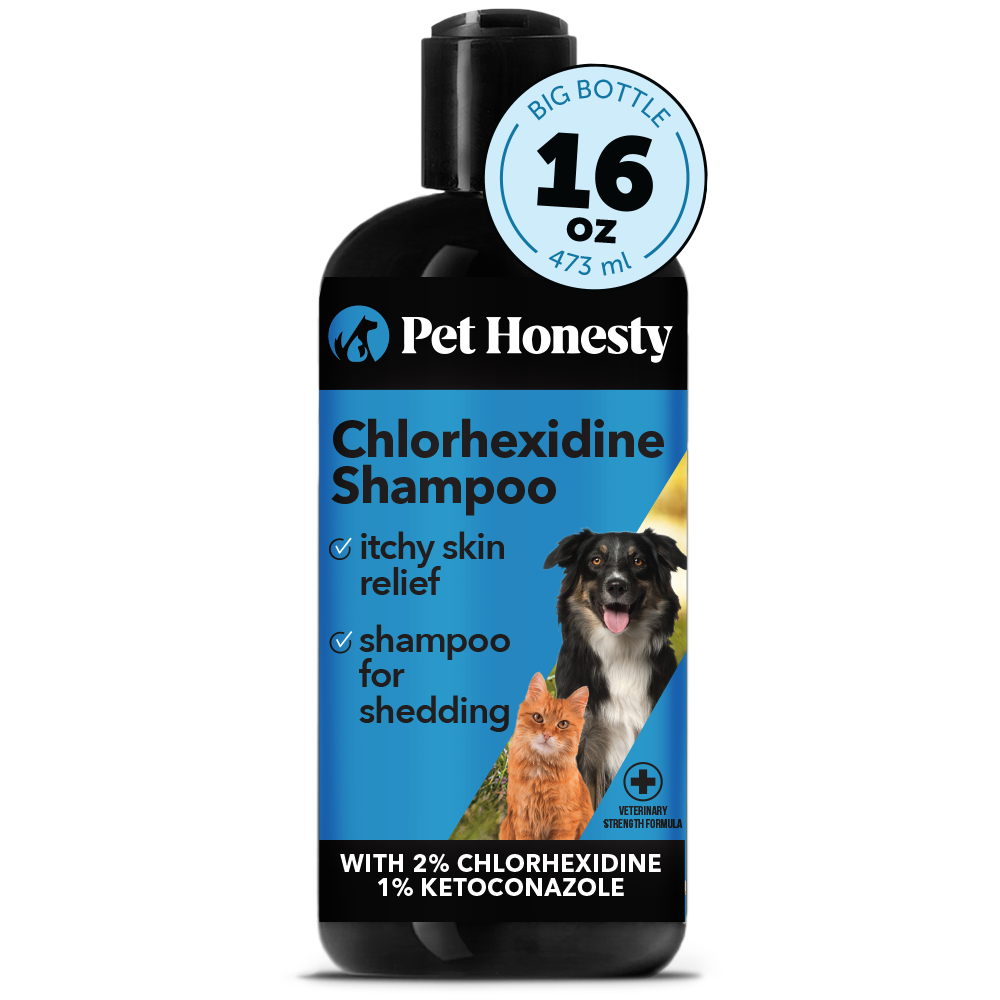 Chlorhexidine Shampoo for Dogs & Cats - Cleansing & Odor Control | Pet ...
