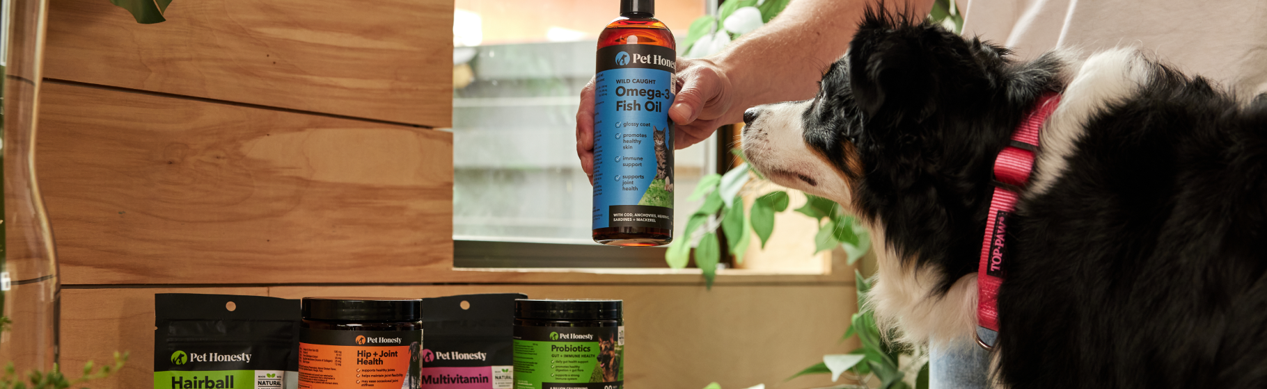 Premium Pet Supplements for Dogs and Cats | Pet Honesty