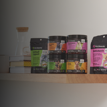 Cat Supplement Bundles for Healthy Felines | Pet Honesty