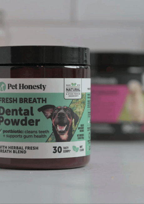Natural Chewable Pet Supplements for Dogs and Cats | Pet Honesty