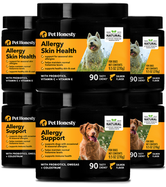 Allergy Supplements for Dogs | Pet Honesty